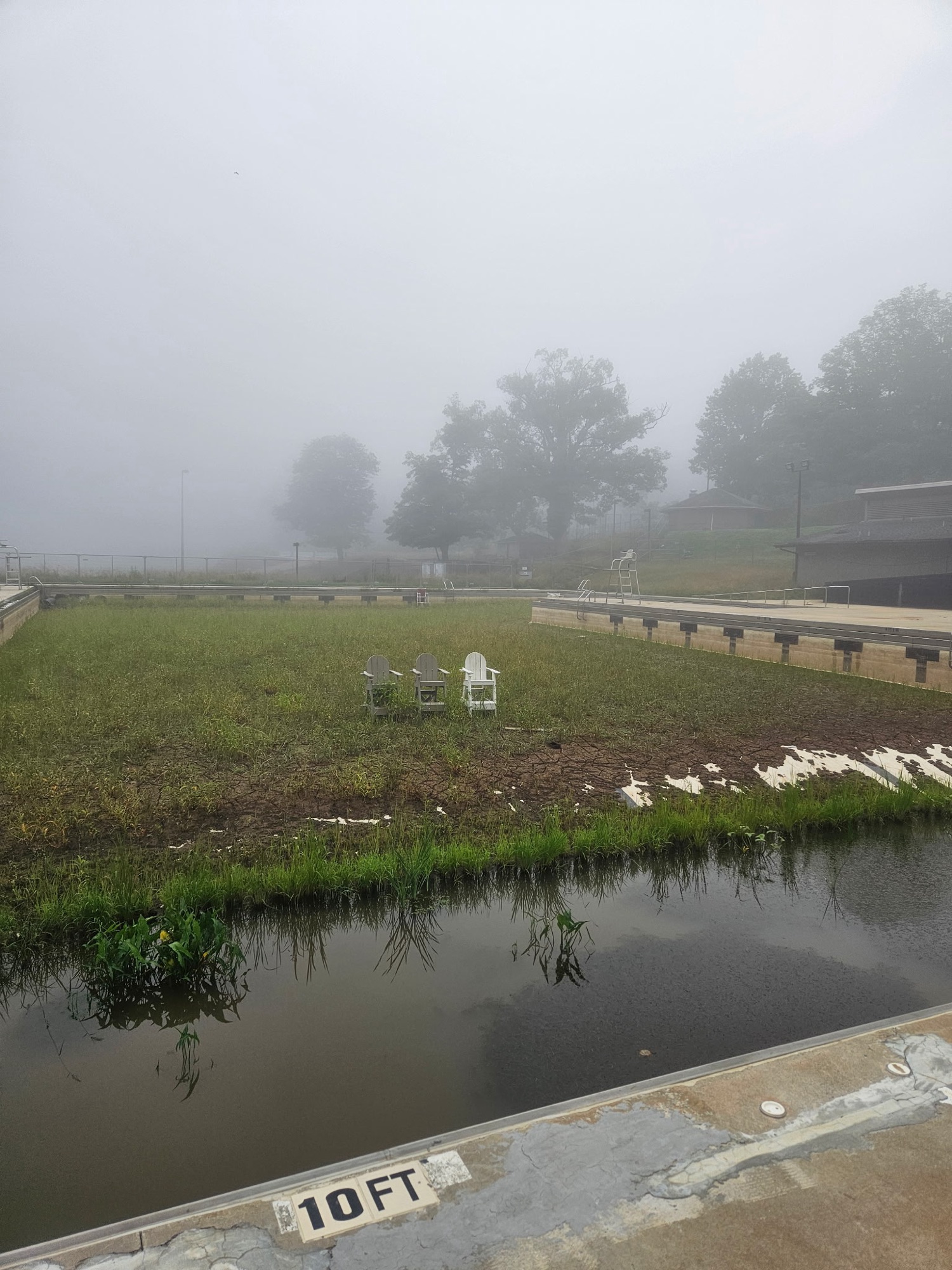 Rec Park Pool Turf! – Asheville Masters Swimming