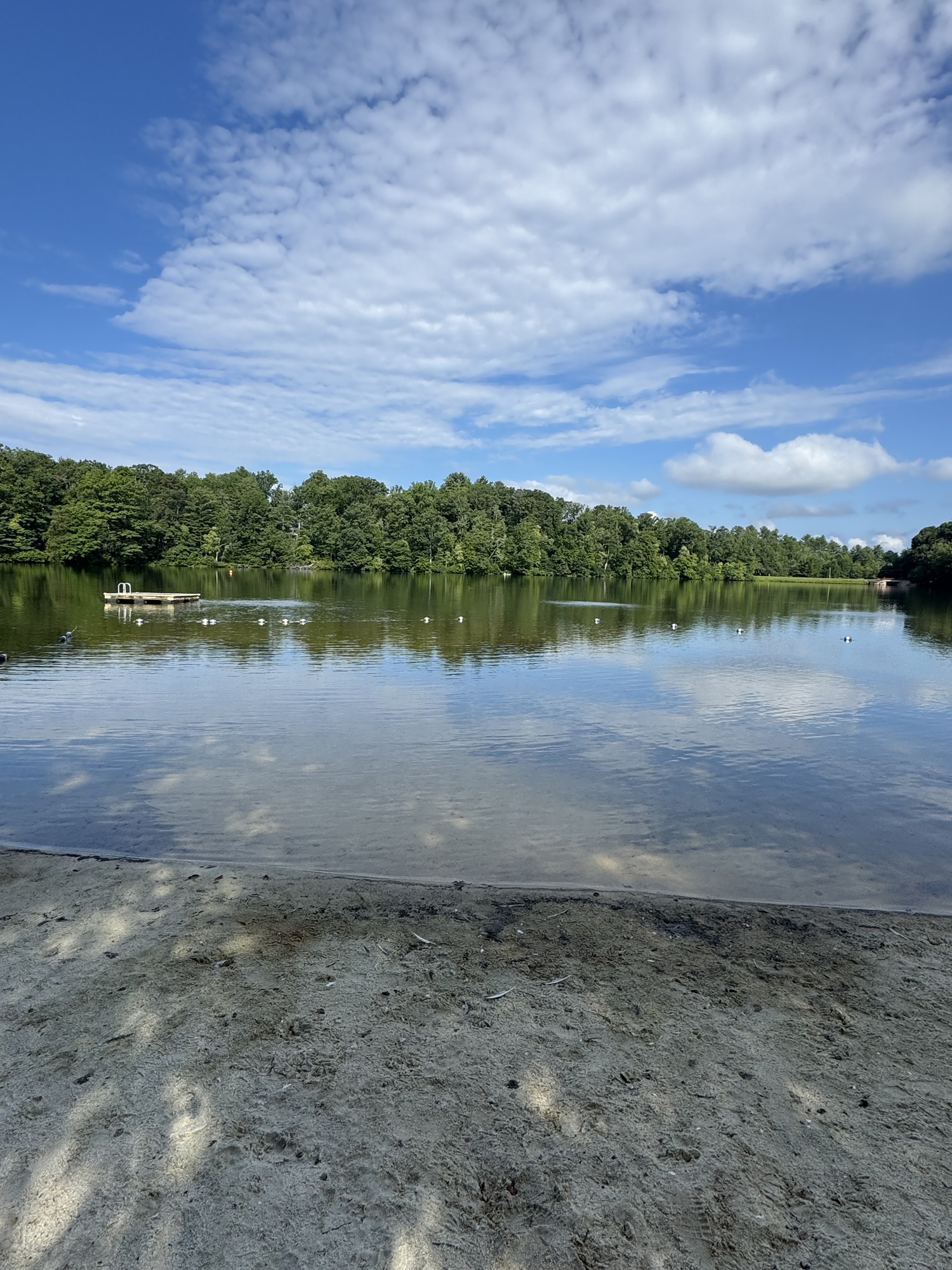 Yes for Open Water at Biltmore Lake this Sunday, September 14th ...
